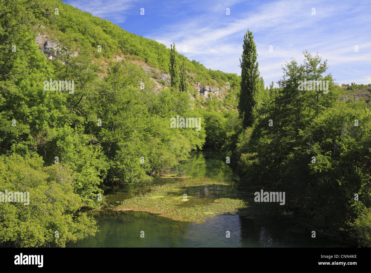 View of quiet river section and gorge, l'Ouysse River, near Rocamadour ...