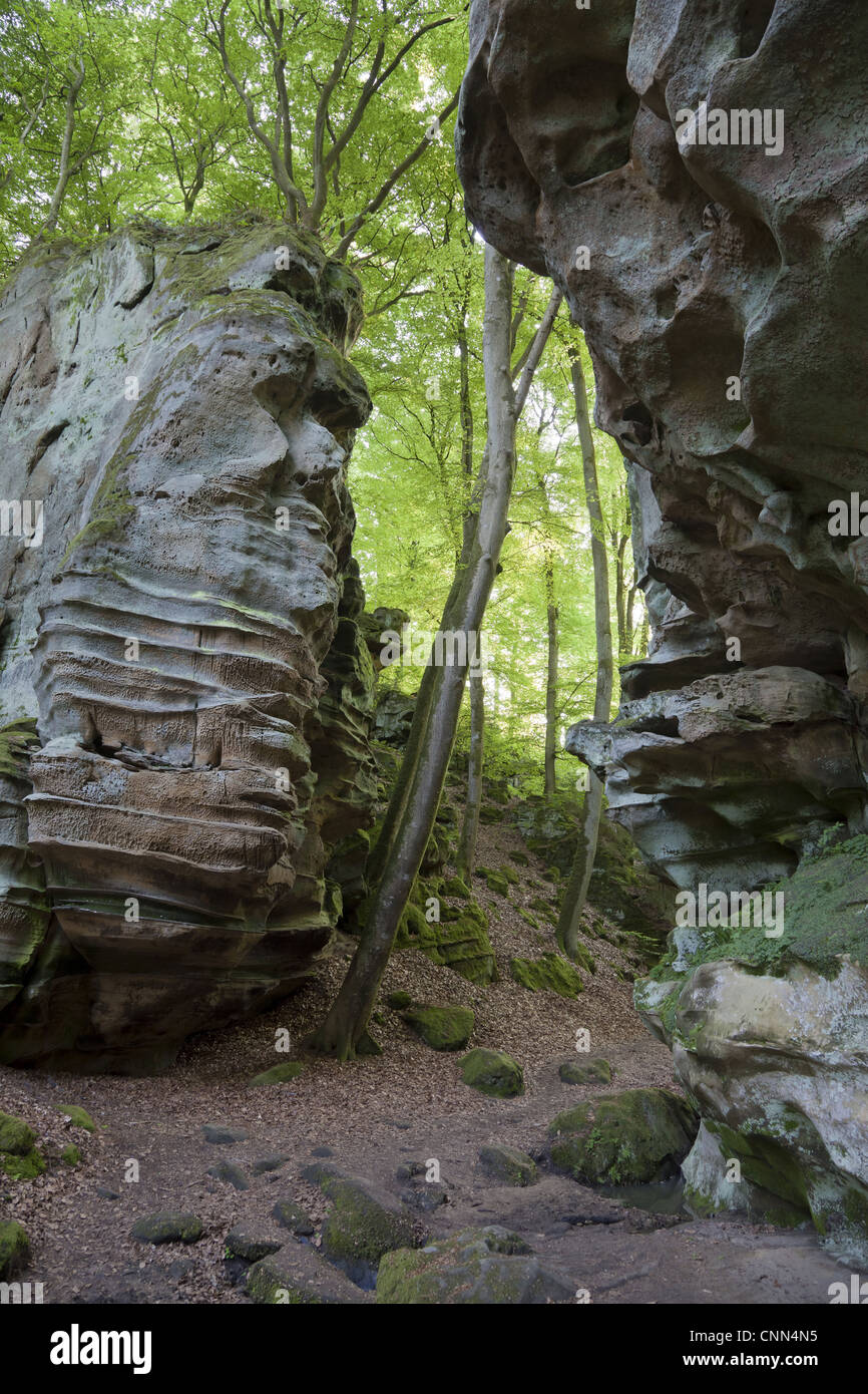 German geology hi-res stock photography and images - Alamy