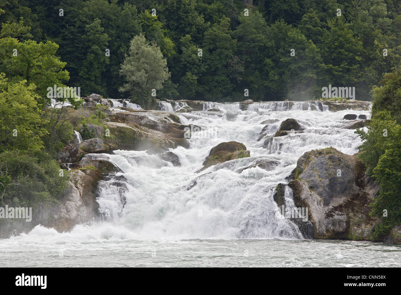 Rhine country hi-res stock photography and images - Alamy