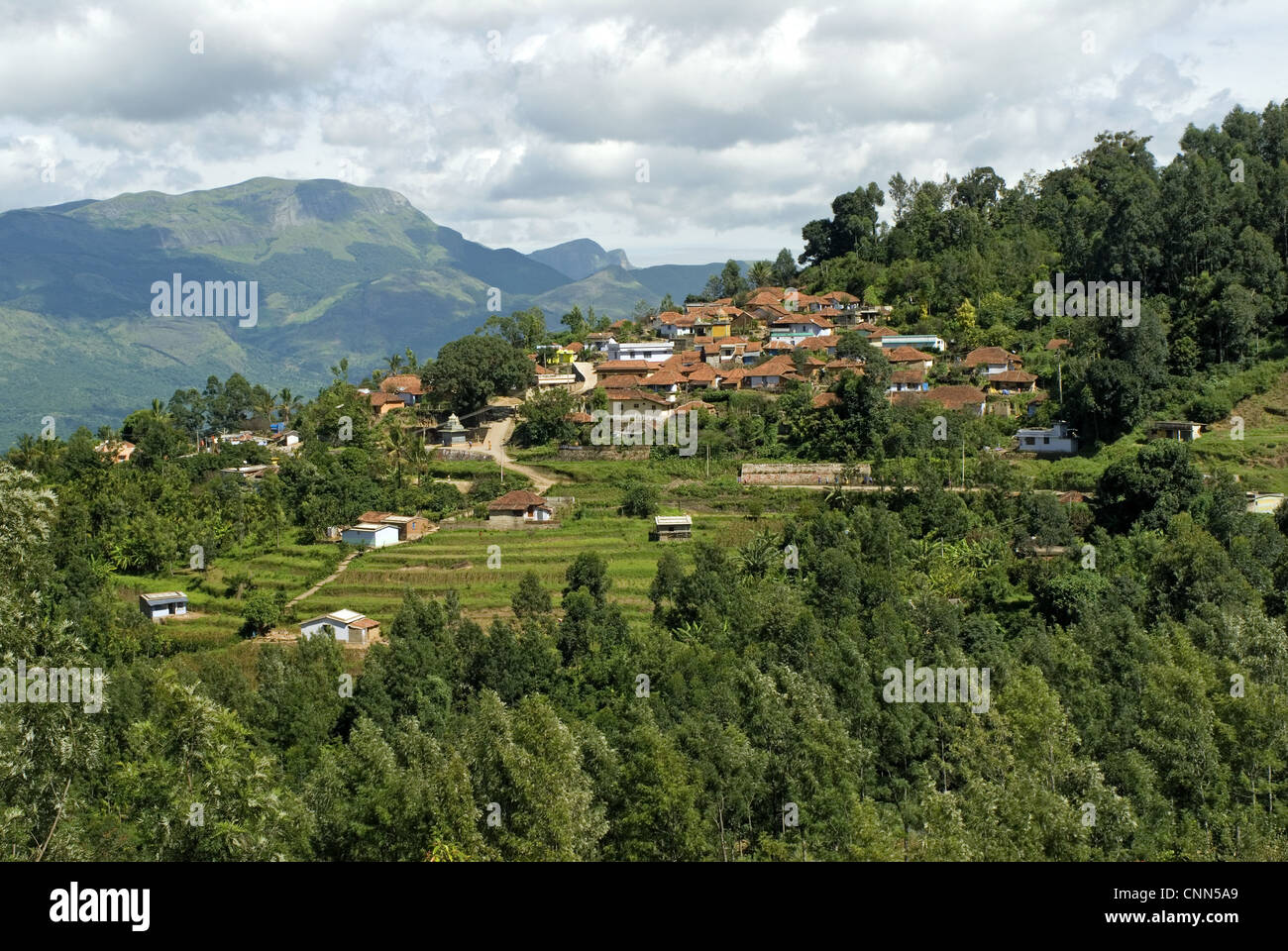 View of upland village and terraced hillside, Kanthalloor, Western ...