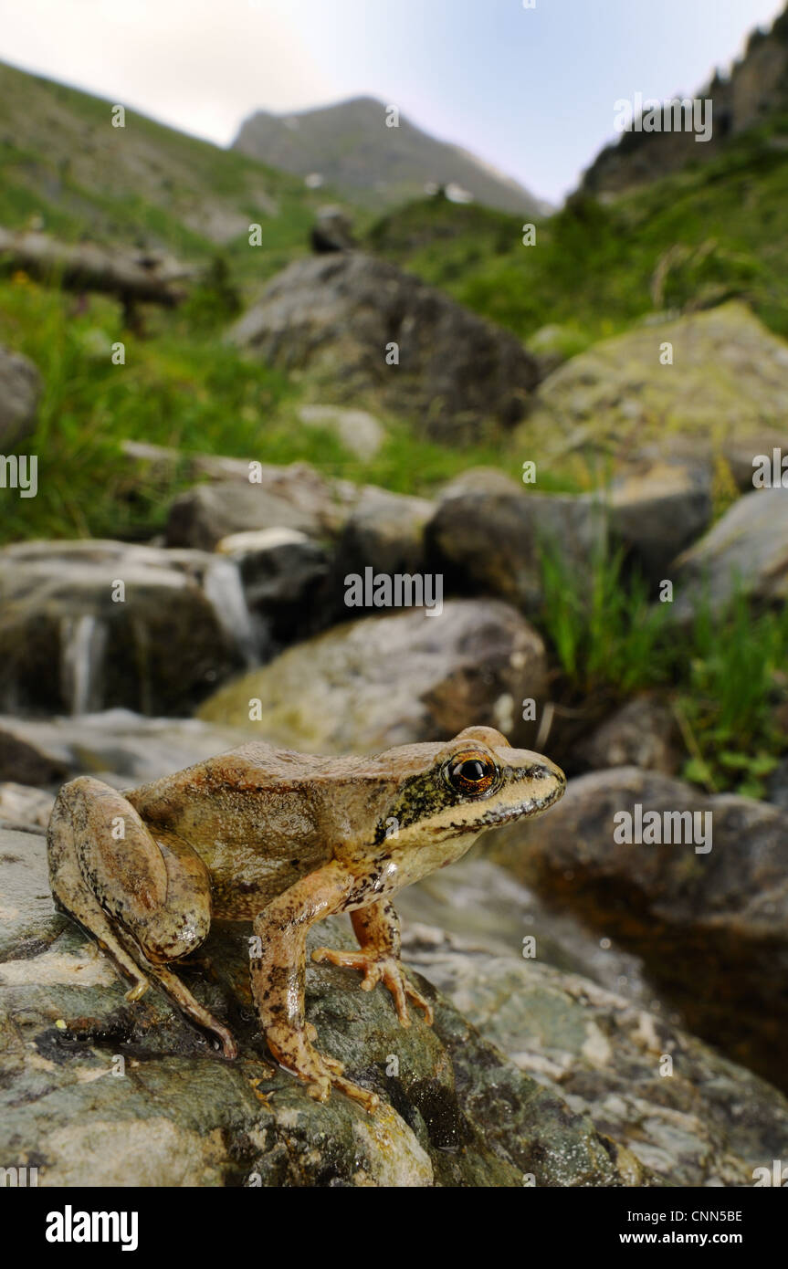 Monte rana hi-res stock photography and images - Alamy