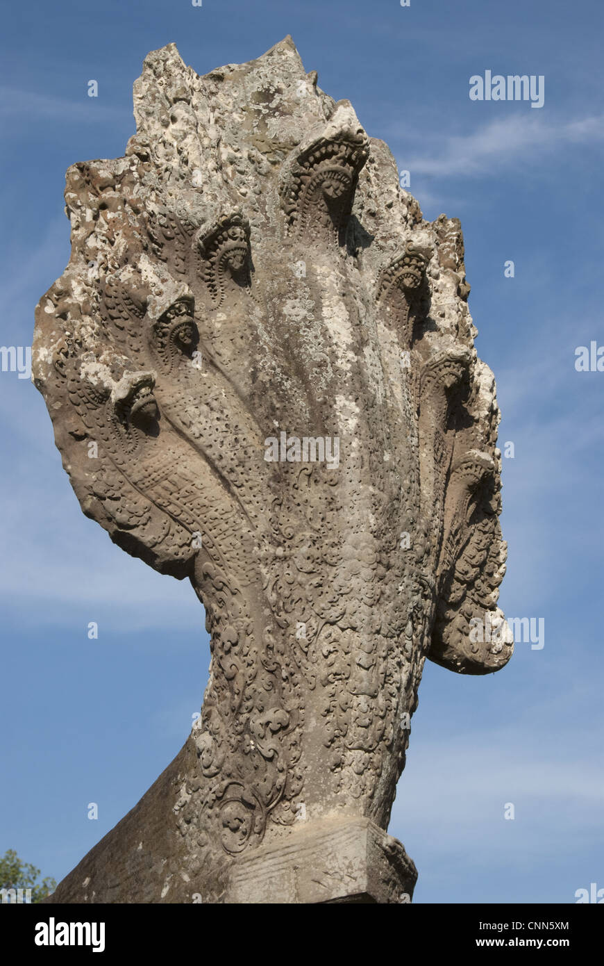 Seven headed hi-res stock photography and images - Alamy