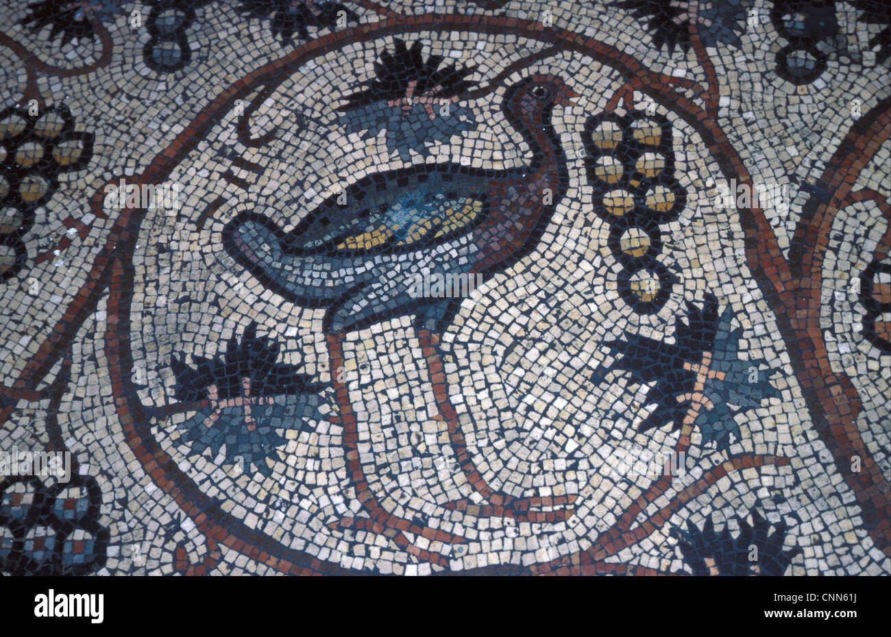 Middle East/Israel Archaeology - Mosaics on the floor of convent of St ...