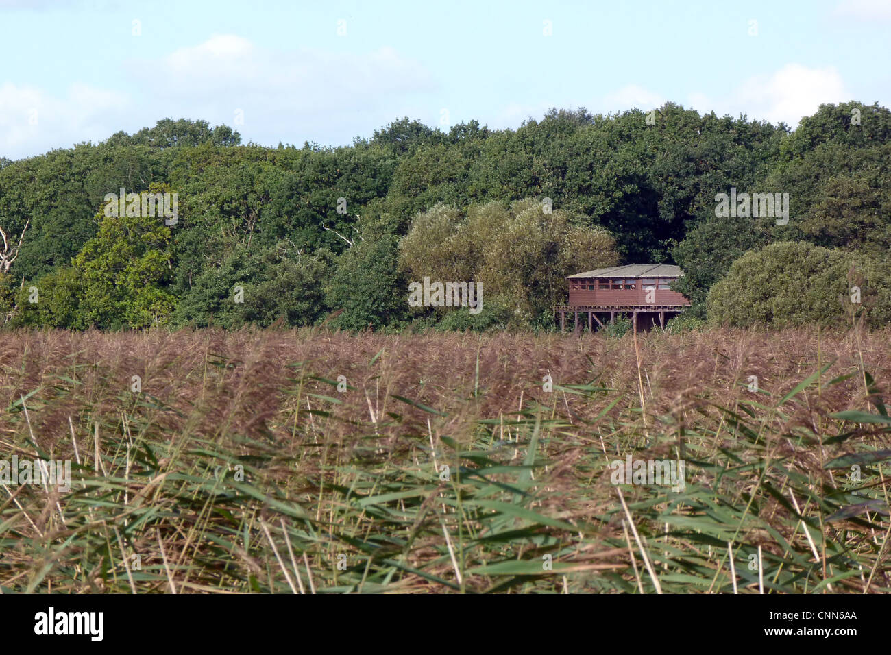 Bird_hide hi-res stock photography and images - Alamy