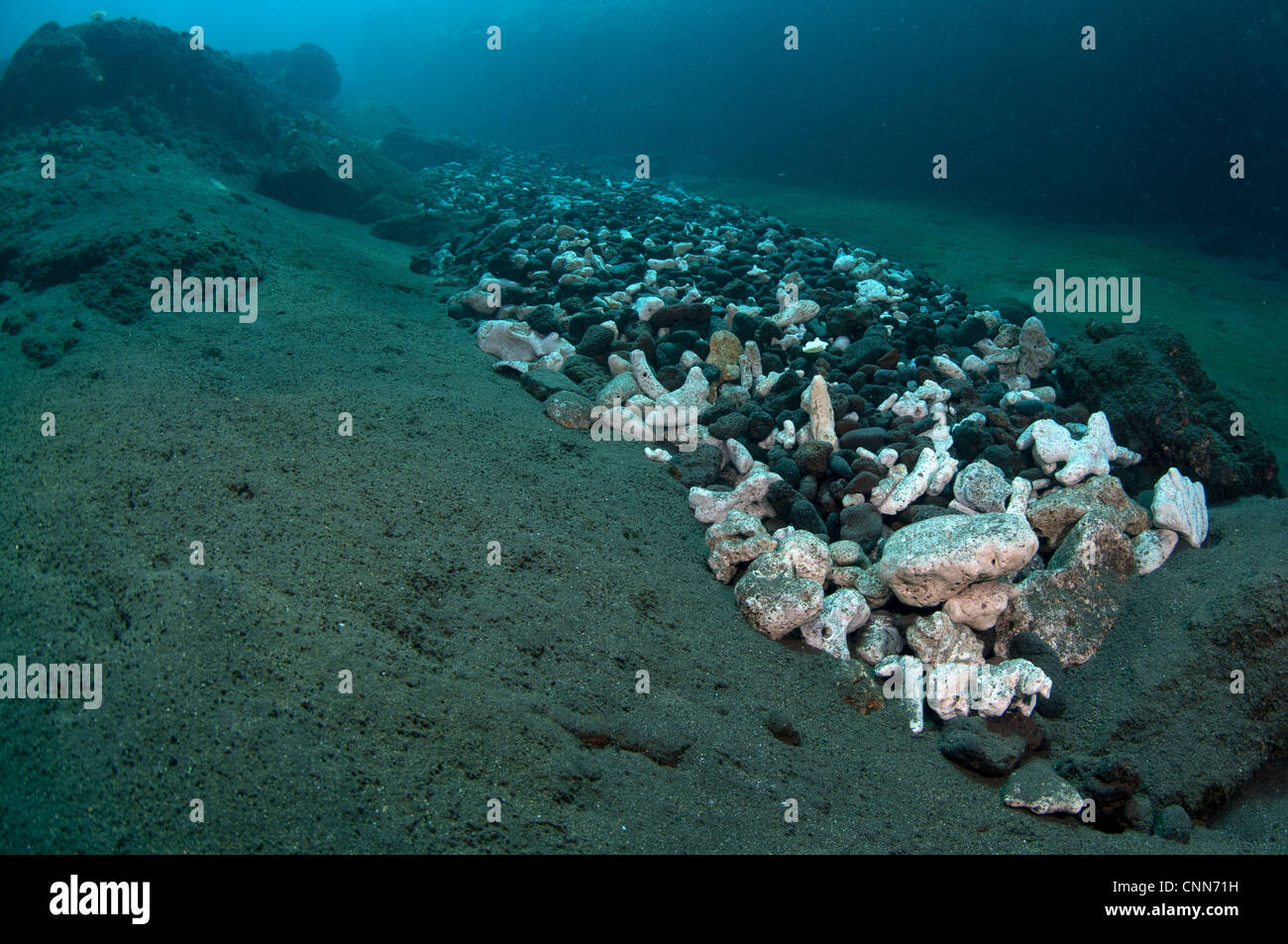 Volcanic scree underwater flow, Cauldron Point, Komba Island, Lesser ...