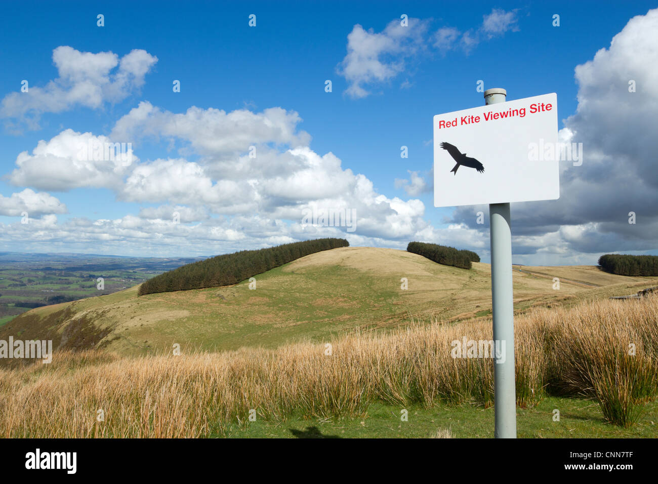 Red Kite viewing site sign, Mynydd Epynt hills in Mid Wales UK Stock ...