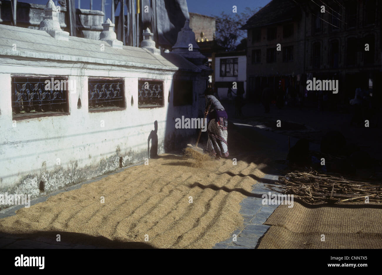 Woman drying grain hi-res stock photography and images - Alamy