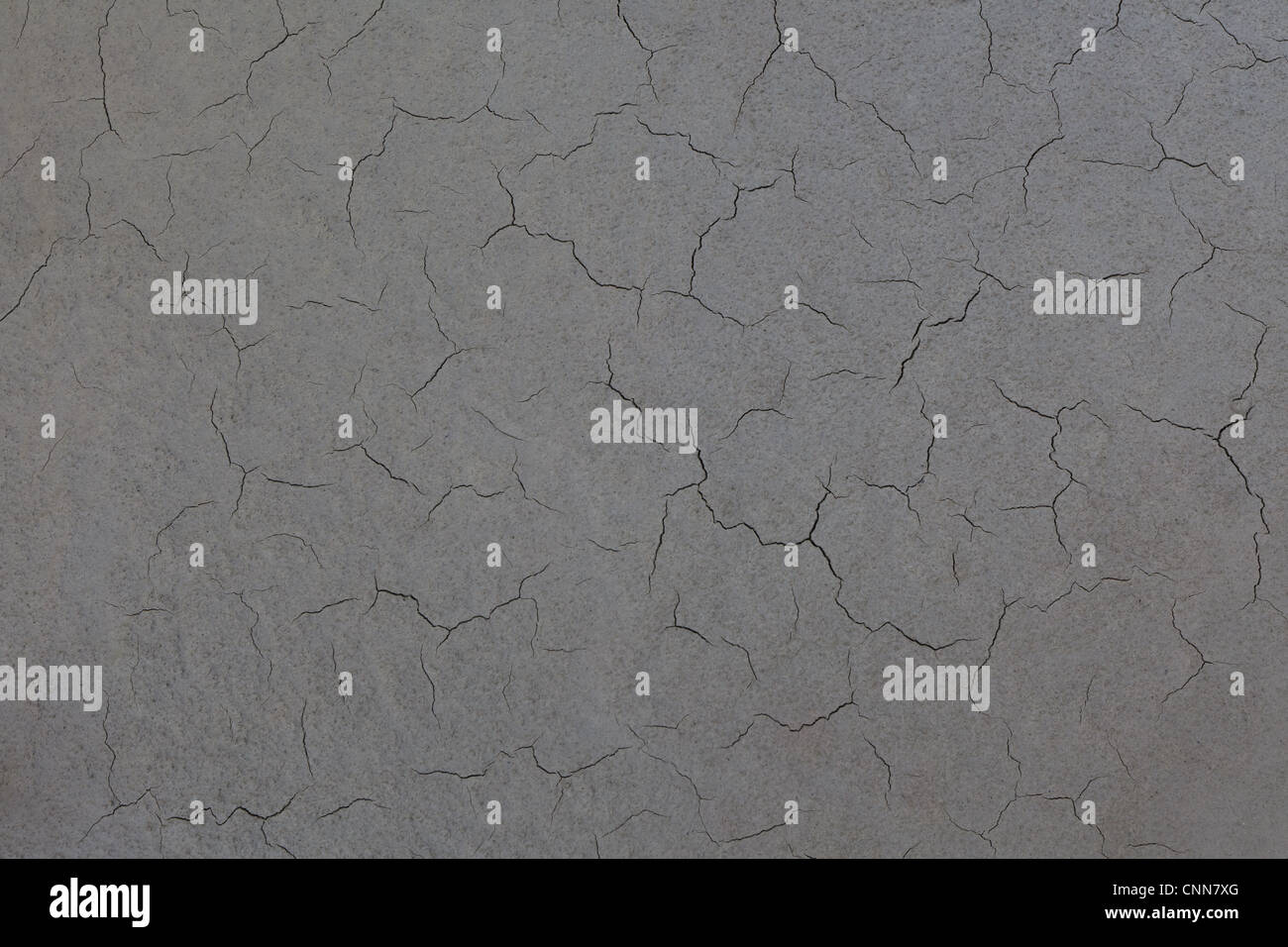 texture on dry land Stock Photo - Alamy