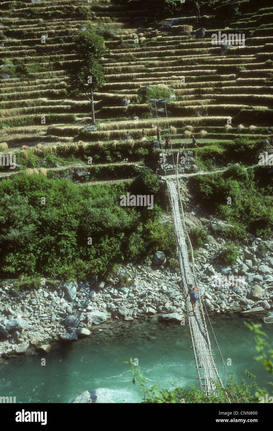 Shaky bridge hi-res stock photography and images - Alamy