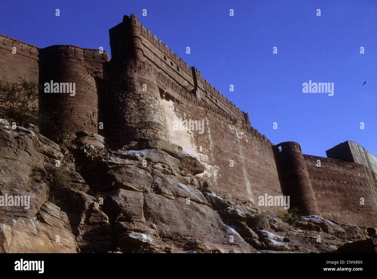 Citadel, castle of Jodhpur fort, Rajasthan, India Stock Photo - Alamy