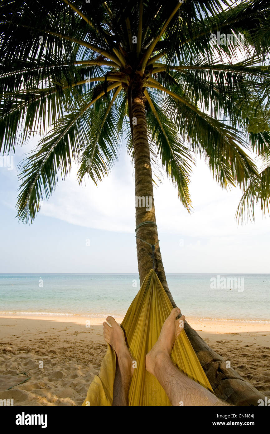 Relaxing in a hammock under palm trees at the beach Stock Photo - Alamy