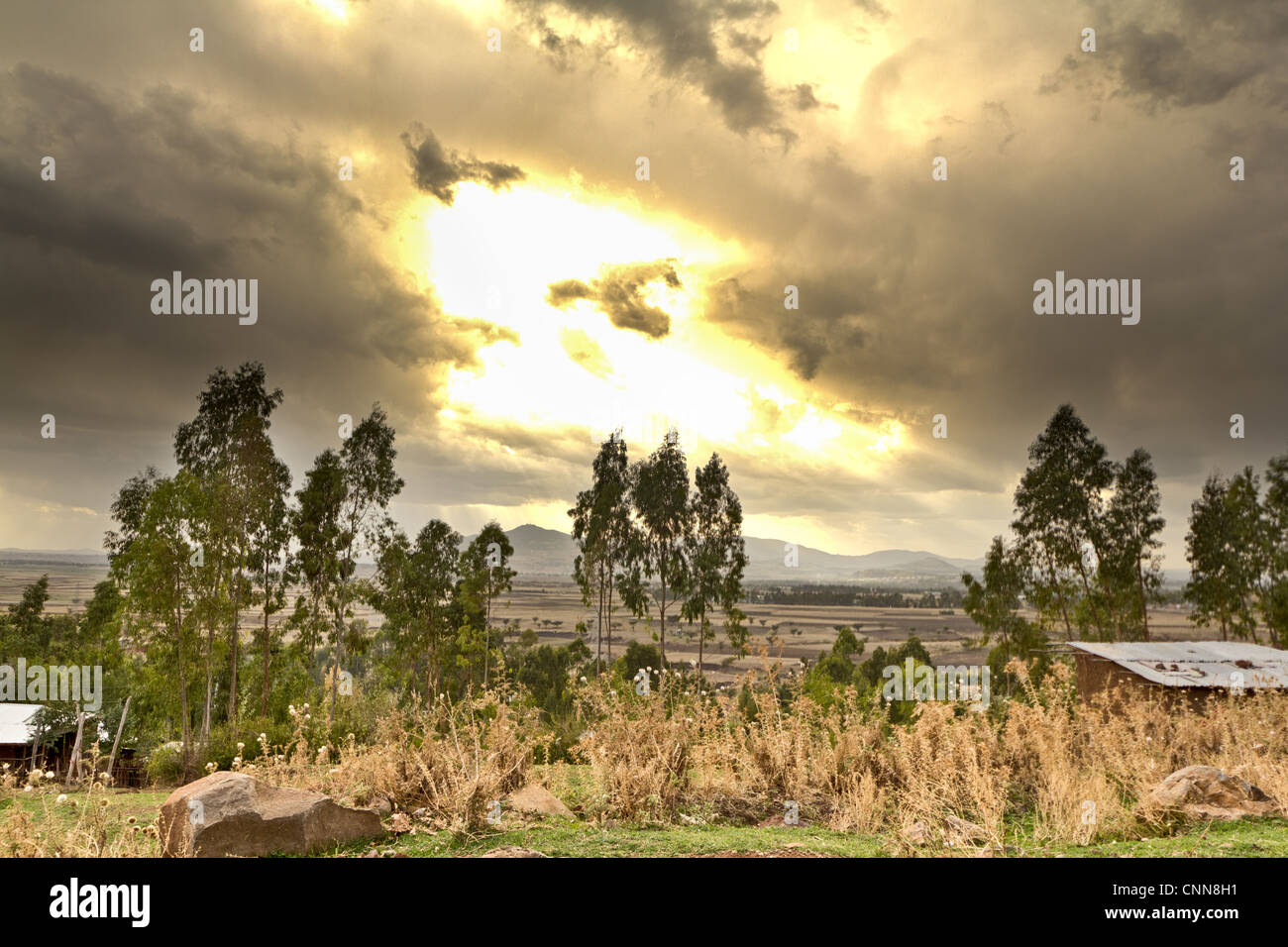 A rural lanscape in a small village with trees and shrubs in the ...