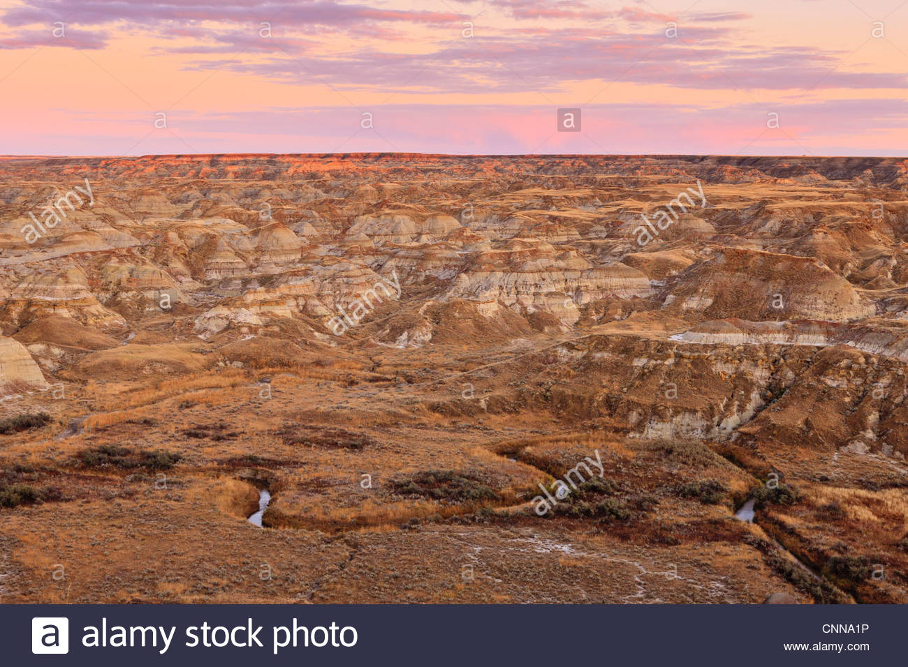 Cretaceous Landscape Stock Photos & Cretaceous Landscape Stock Images ...