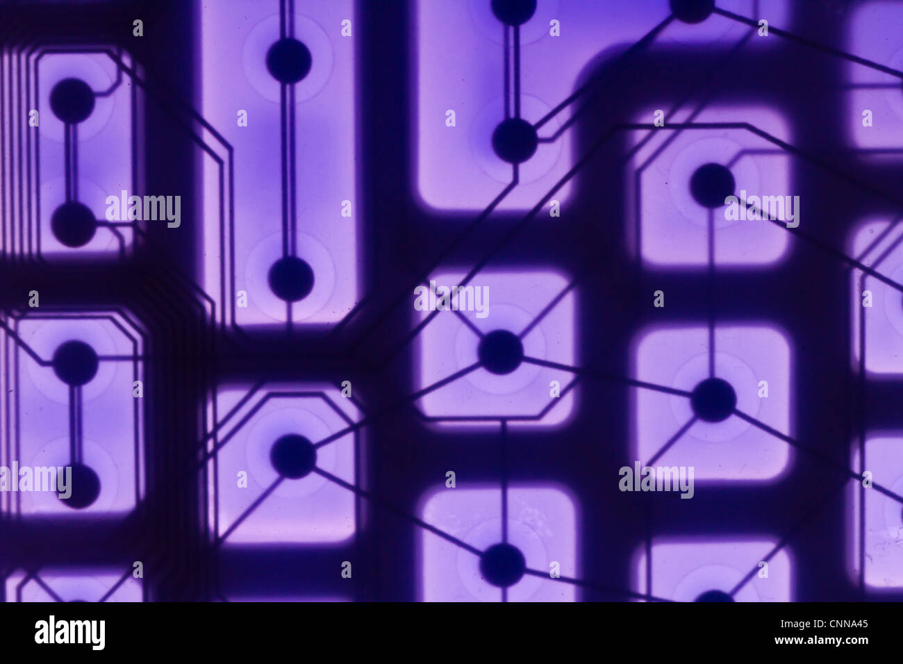 purple circuitry in a macro shot Stock Photo - Alamy