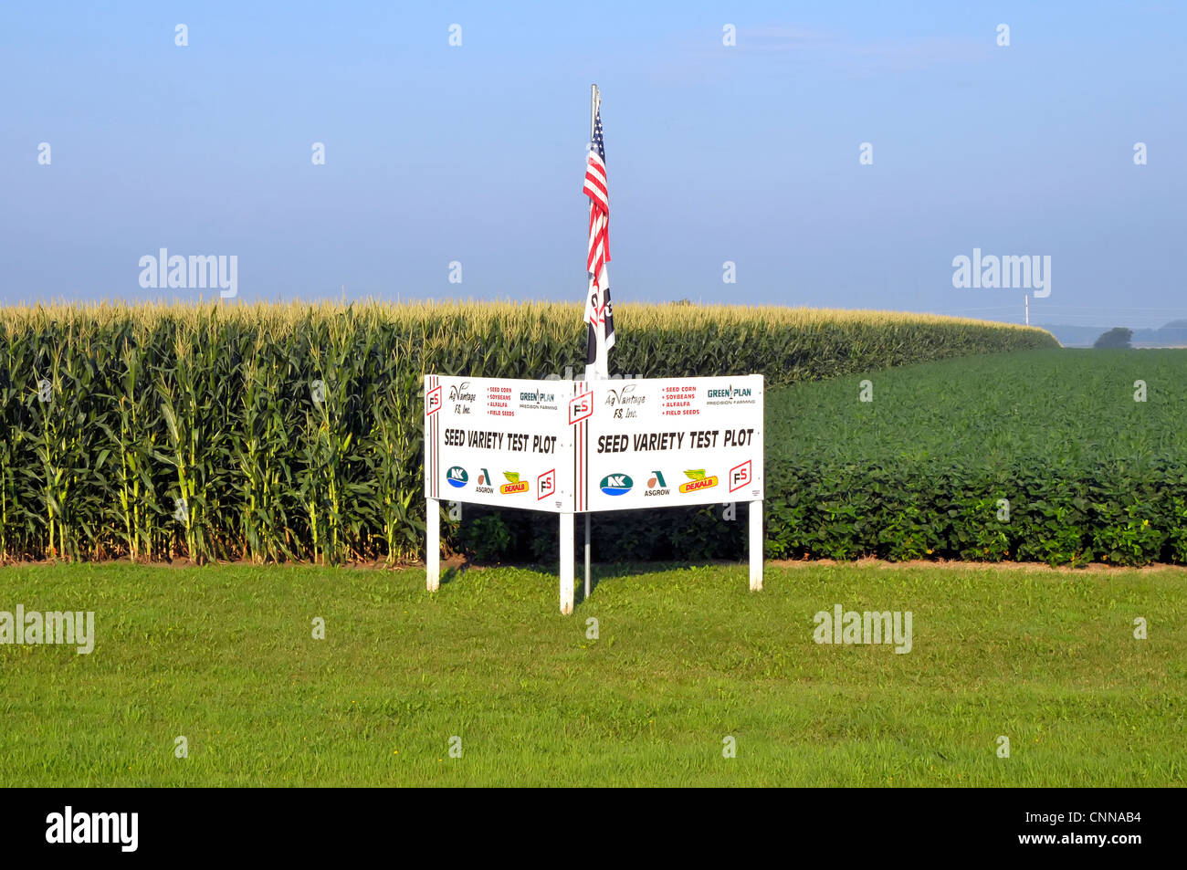 Iowa seed variety test farm field for seed corn soybean alfalfa and ...