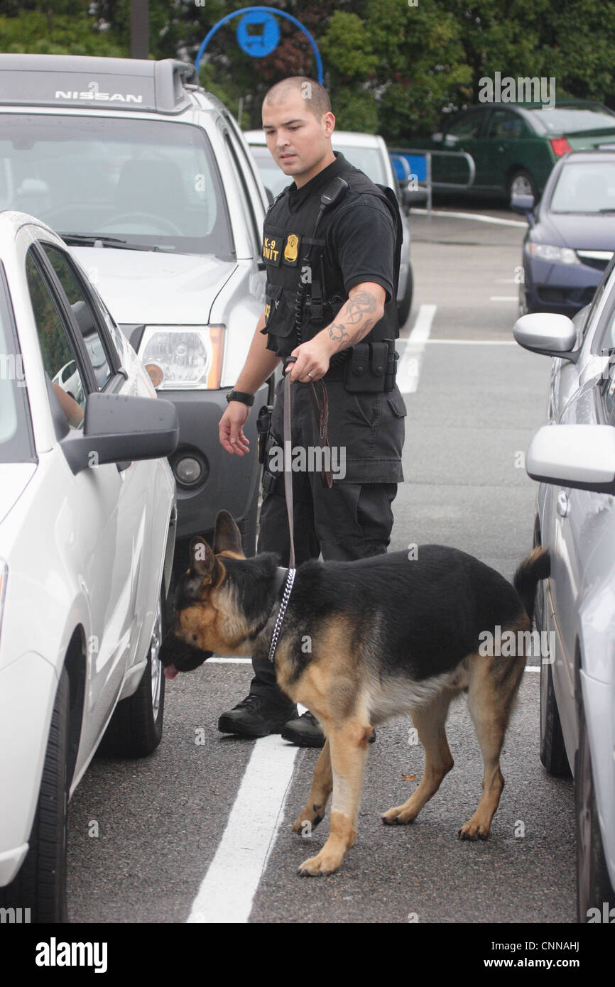 Can Police Bring Dogs Sniff Your Car