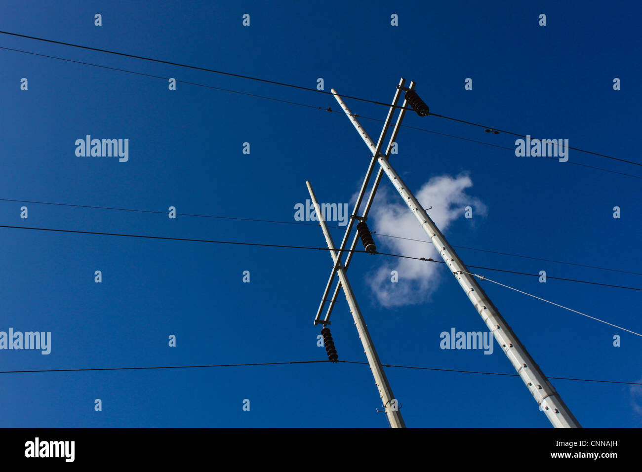 Twin poles of electric power lines cables for provincial distributions ...