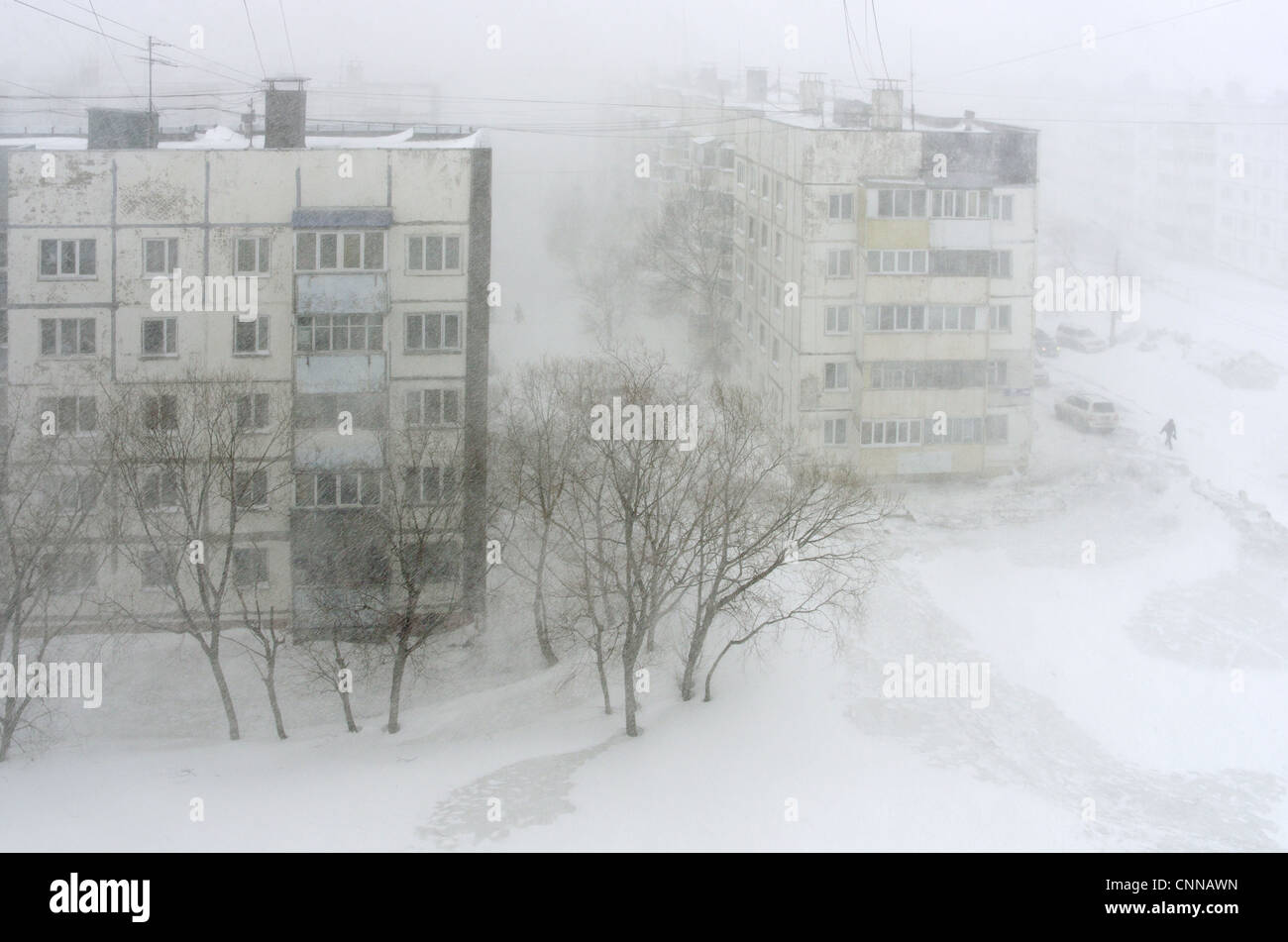 Winter. Blizzard snowfall in Russia, Sakhalin, Yuzhno-Sakhalinsk. low ...