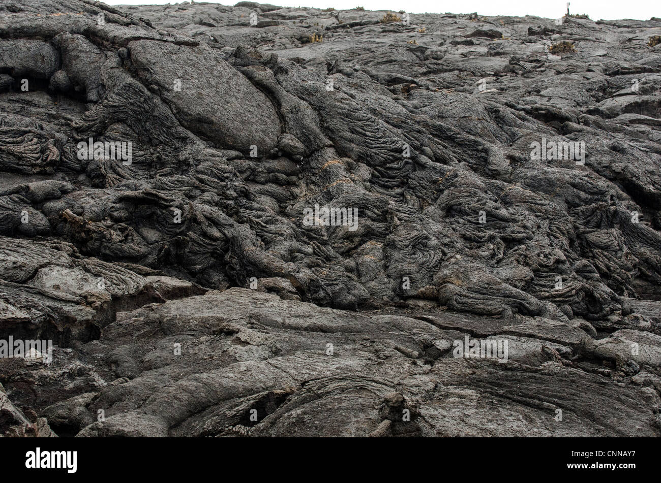 Dried lava patterns Galapagos Islands Ecuador South America Stock Photo ...