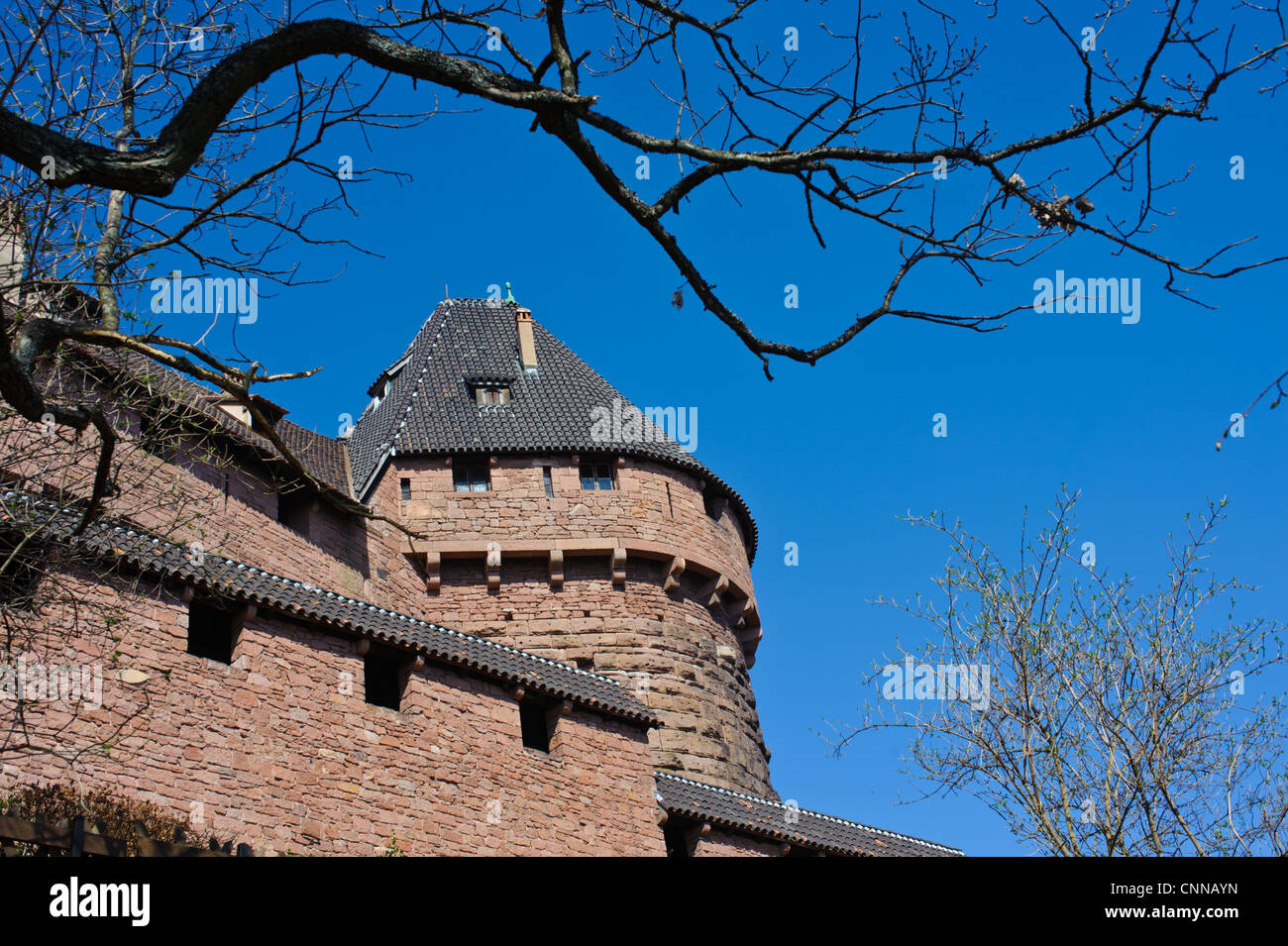 chateau de haut koenigsbourg france alsace castle Stock Photo - Alamy