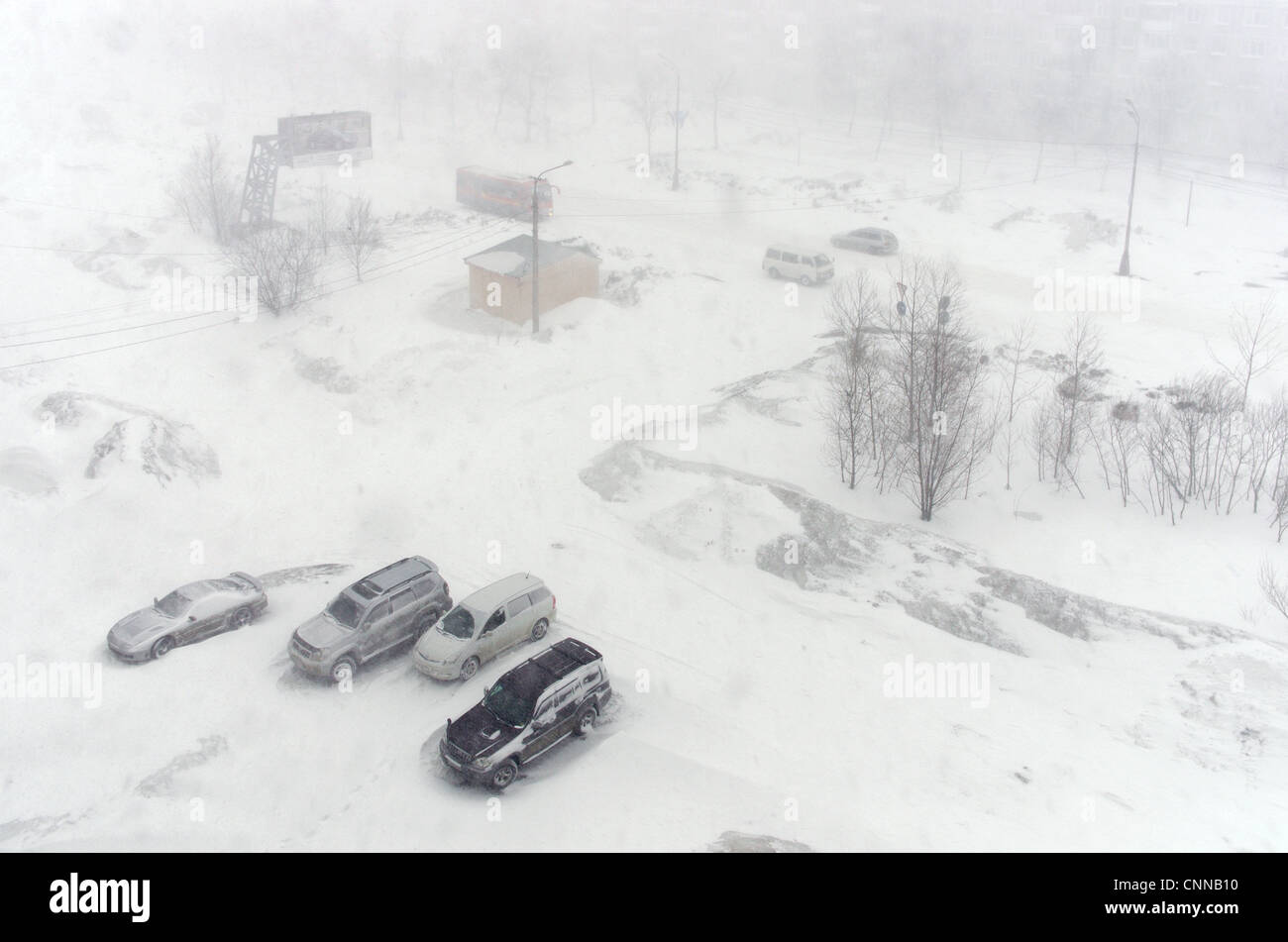 Winter. Blizzard snowfall in Russia, Sakhalin, Yuzhno-Sakhalinsk. low ...