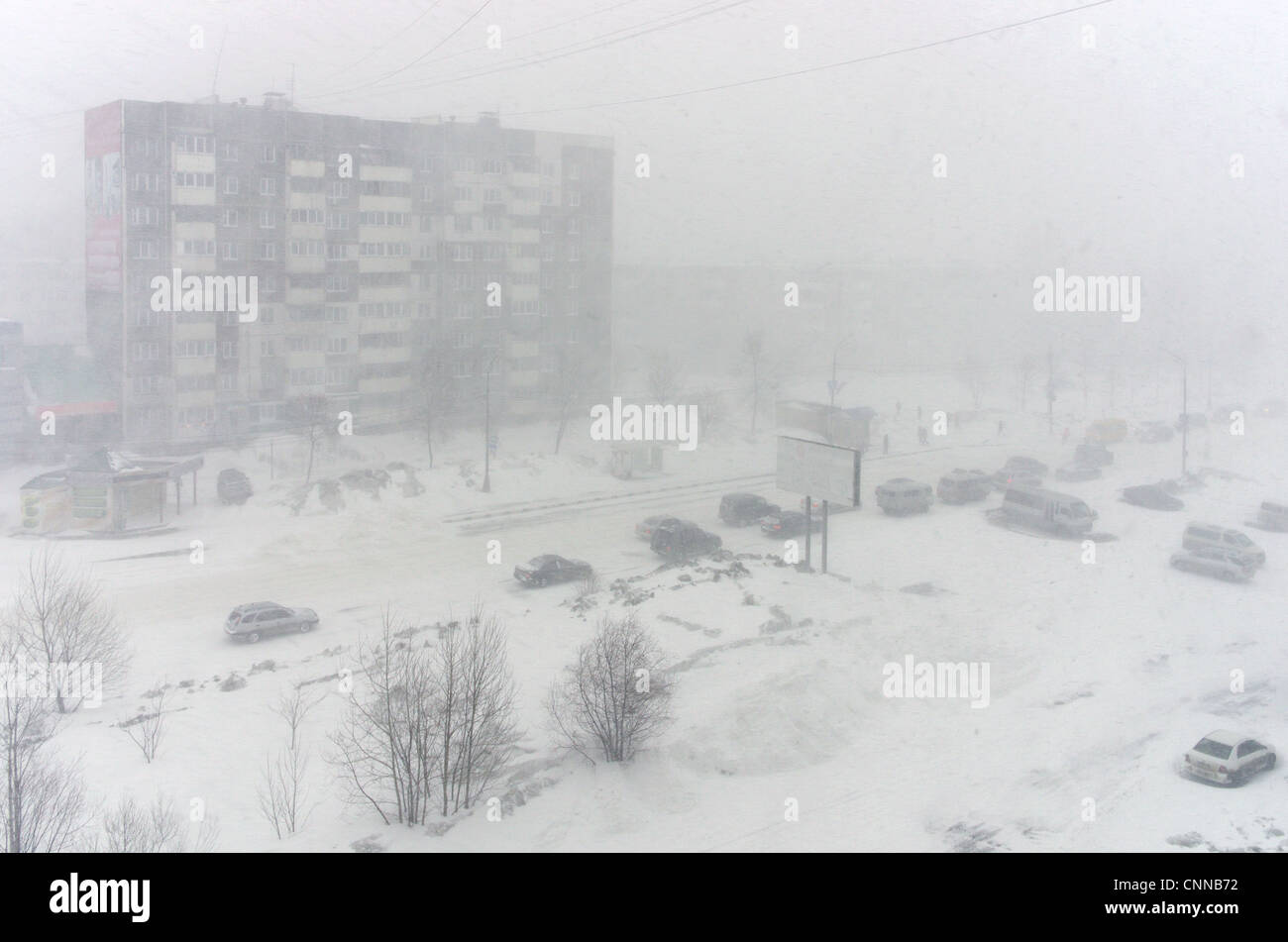 Winter. Blizzard snowfall in Russia, Sakhalin, Yuzhno-Sakhalinsk. low ...