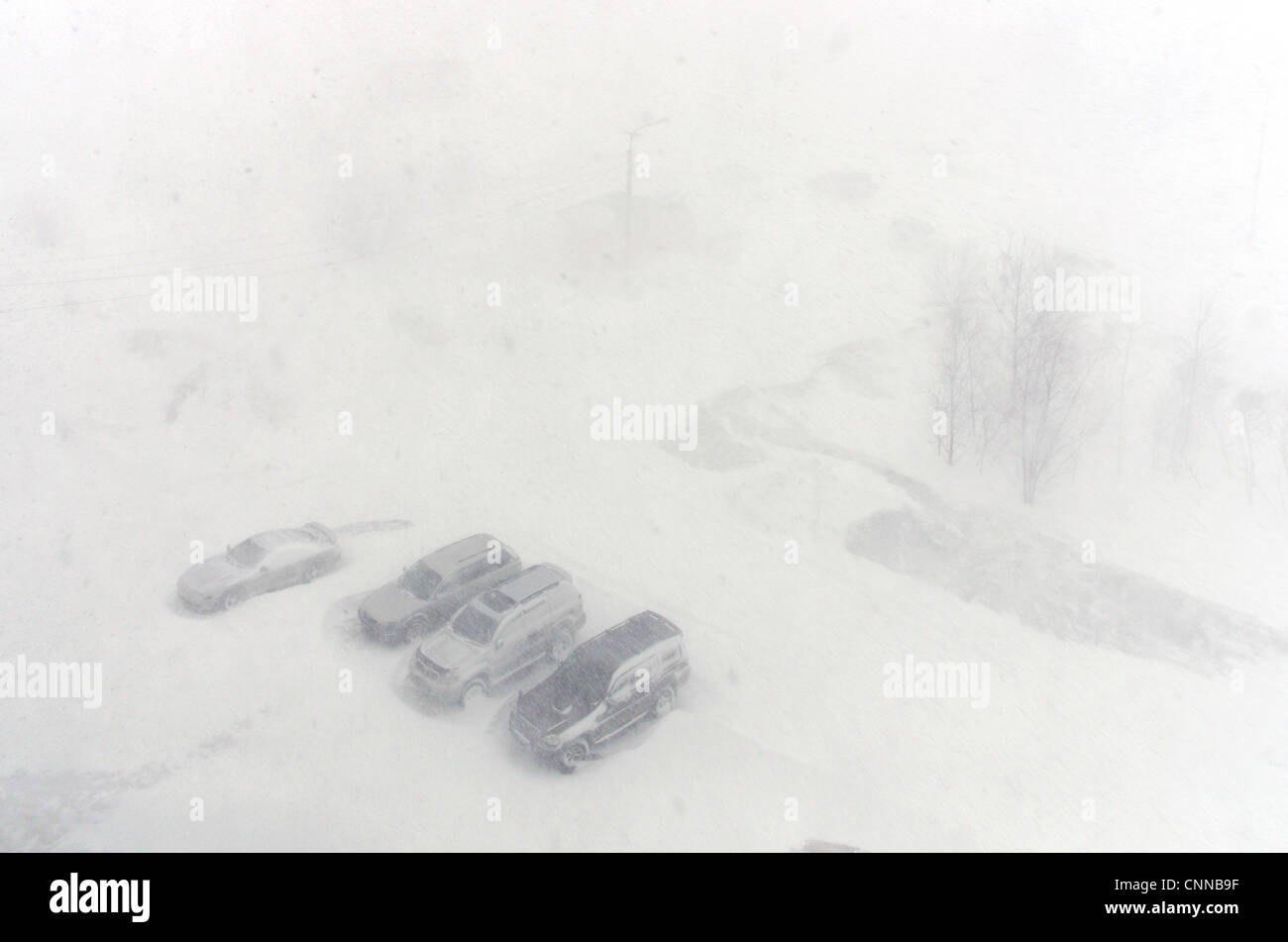 Winter. Blizzard snowfall in Russia, Sakhalin, Yuzhno-Sakhalinsk. low ...