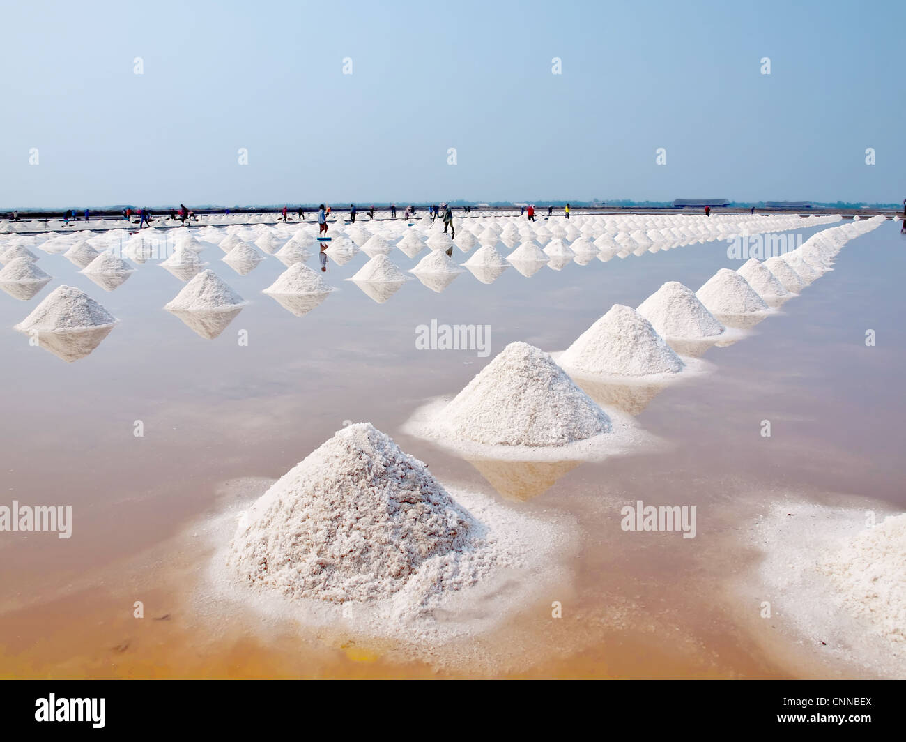 Heap of sea salt in a field Stock Photo - Alamy