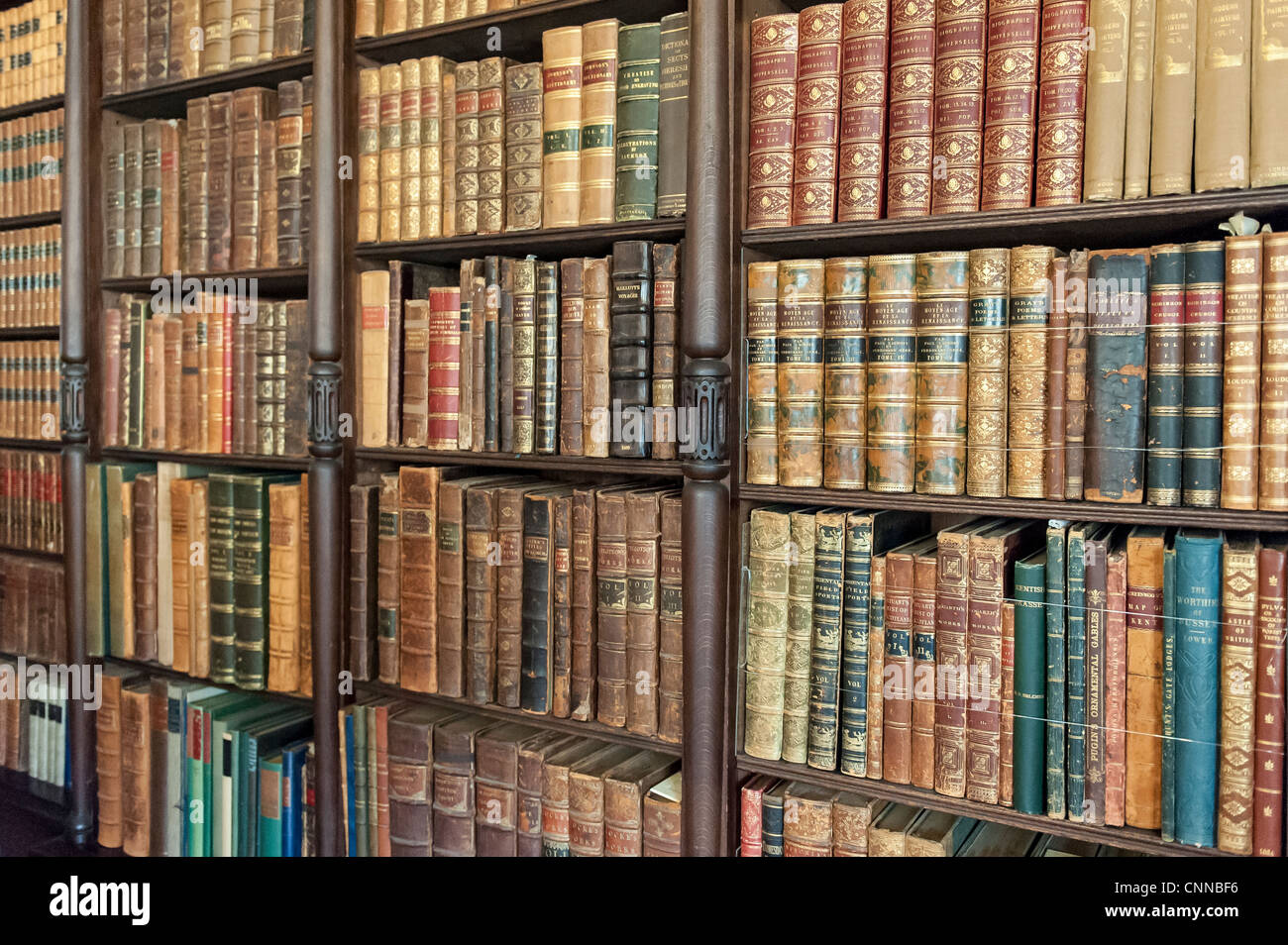 close up of a book case with old books Stock Photo - Alamy