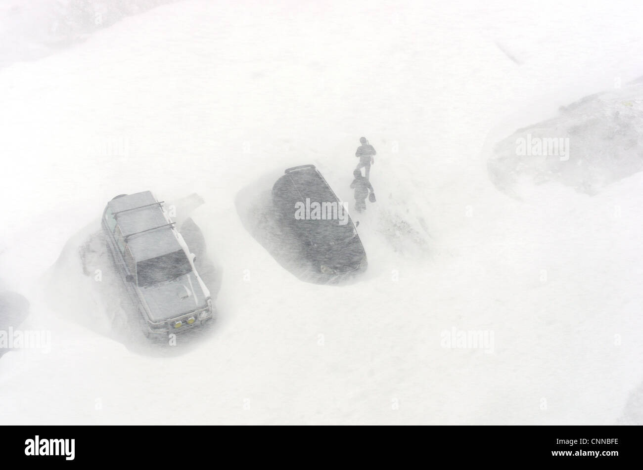 Winter. Blizzard snowfall in Russia, Sakhalin, Yuzhno-Sakhalinsk. low ...