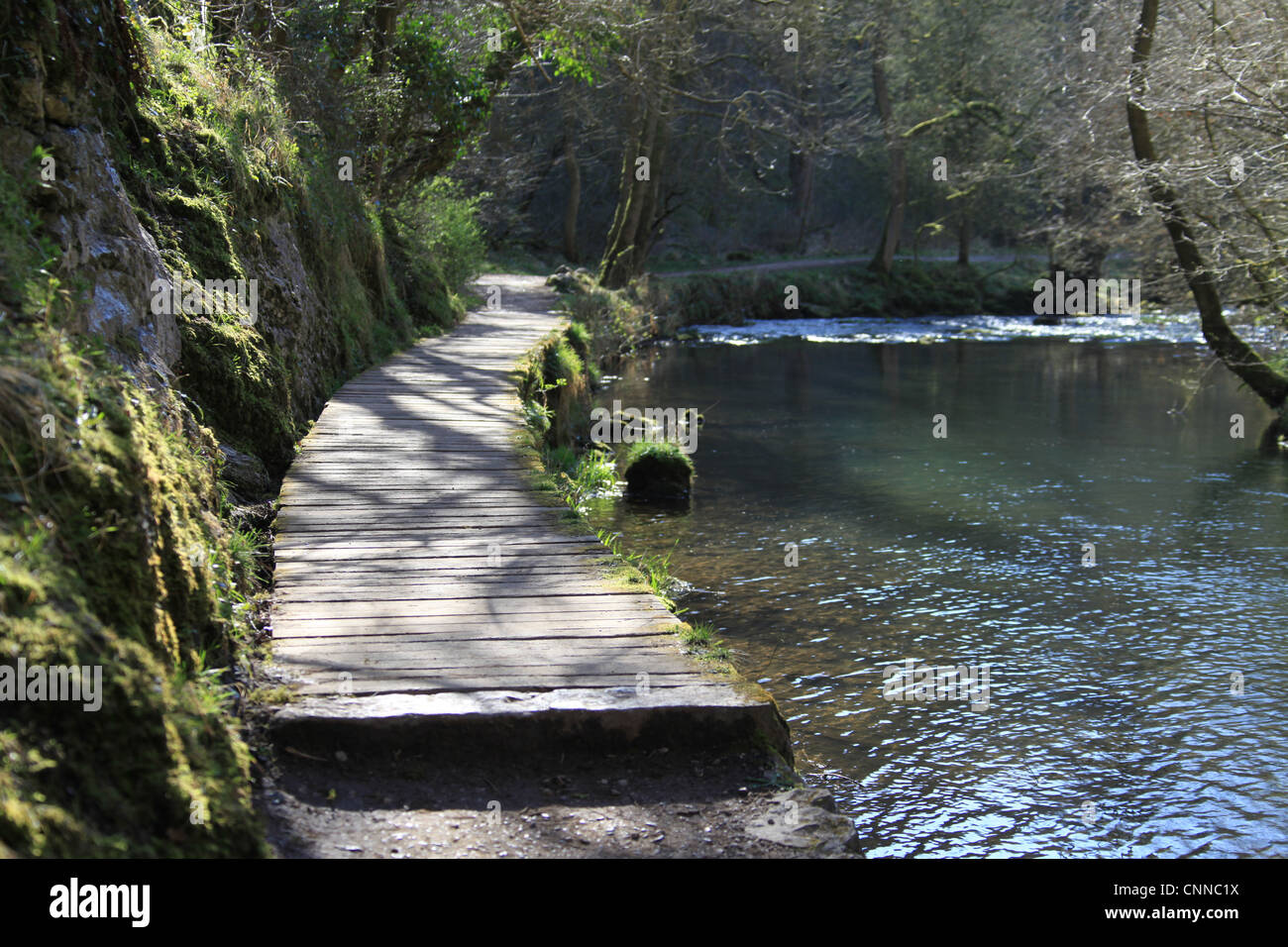 Raised Wooden Walkway in Dovedale Stock Photo - Alamy