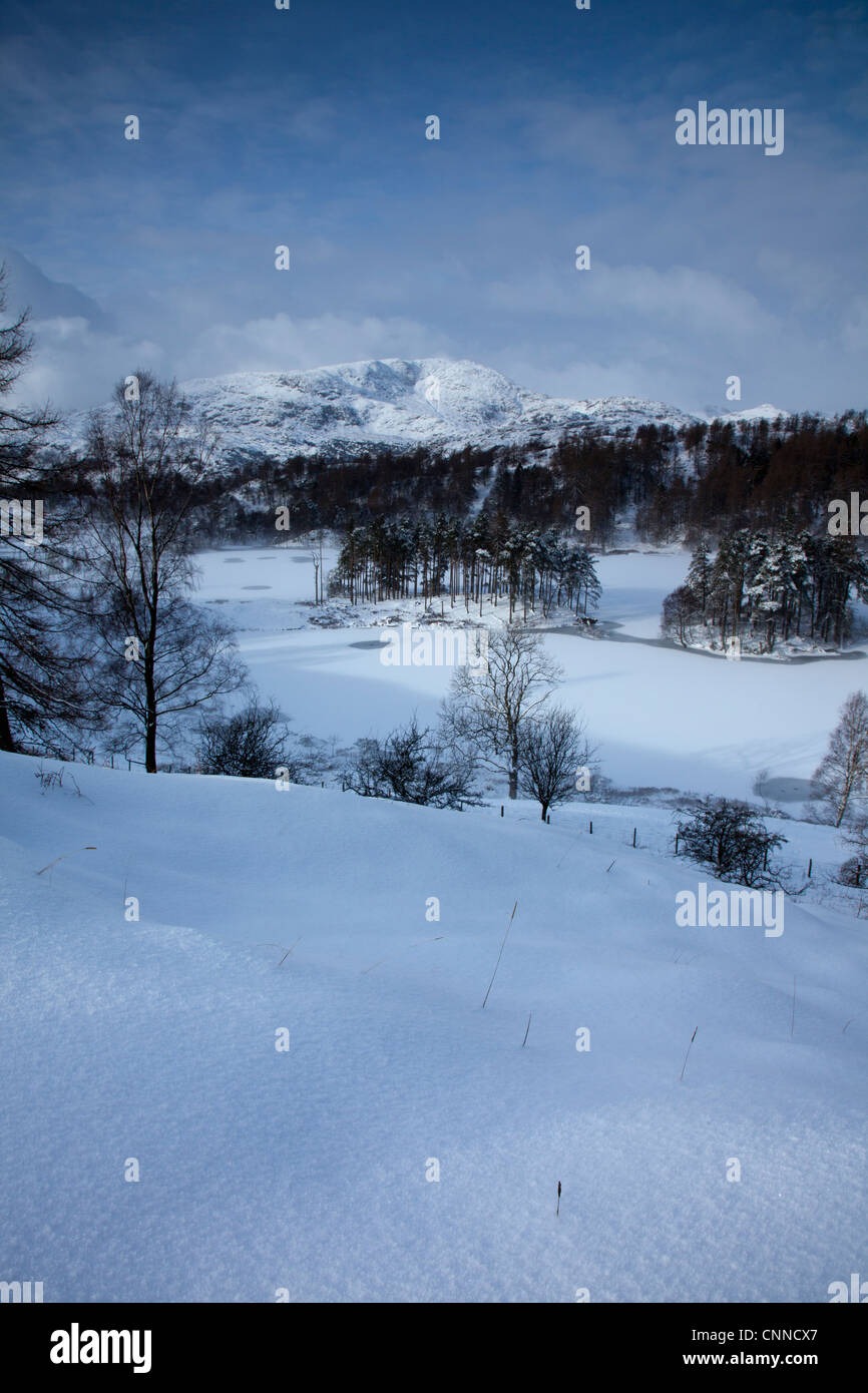 The beautiful landscape of Tarn Hows in the Lake District during a ...