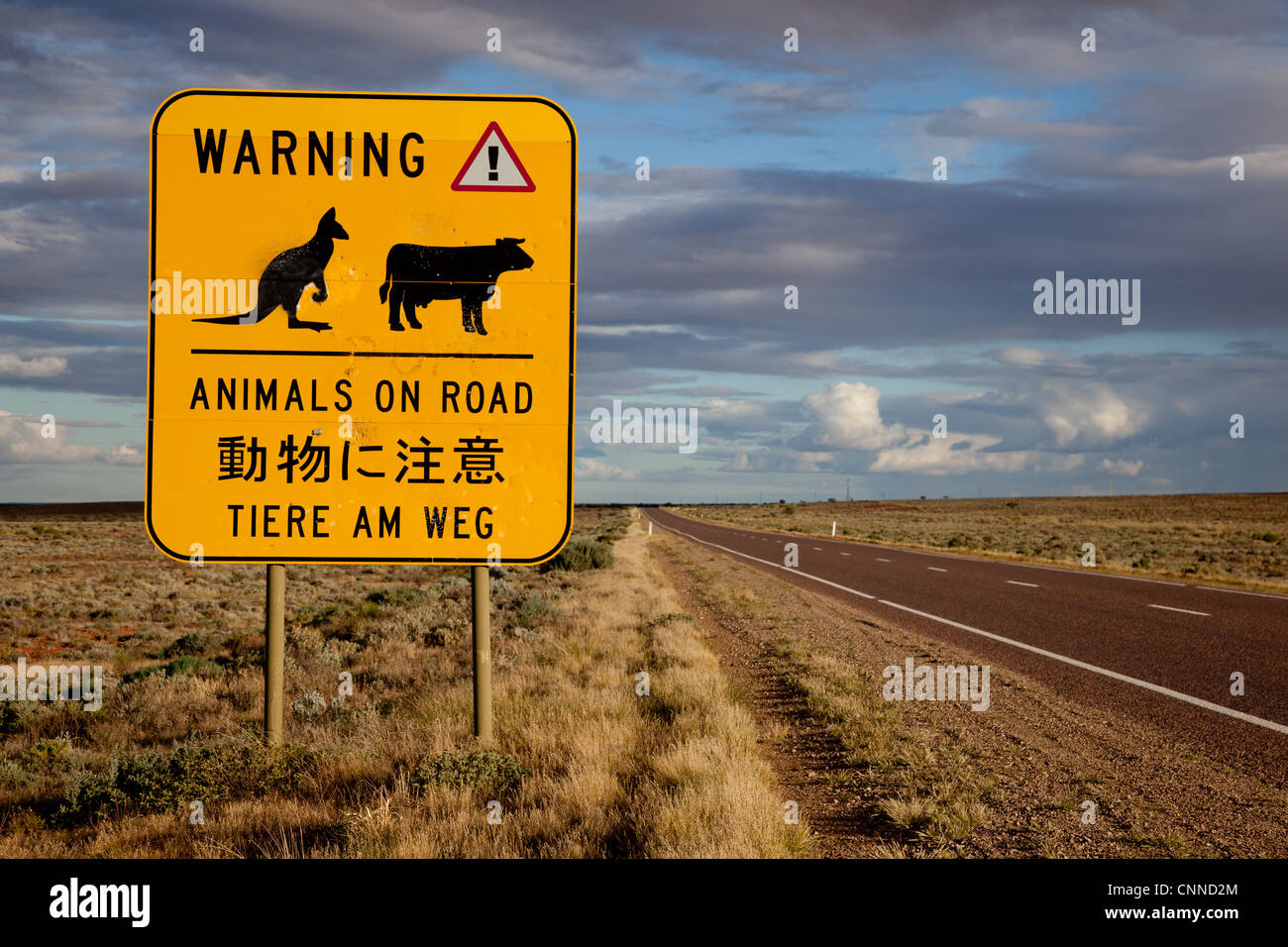 Kangaroo warning sign stuart highway hi-res stock photography and ... Kangaroo warning sign stuart highway hi-res stock photography and ...