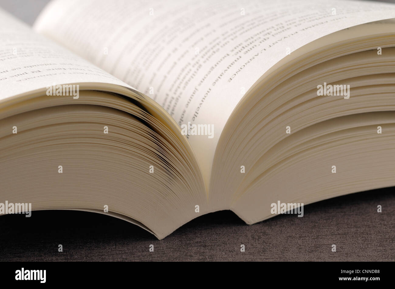 Bookbinding studio hi-res stock photography and images - Alamy