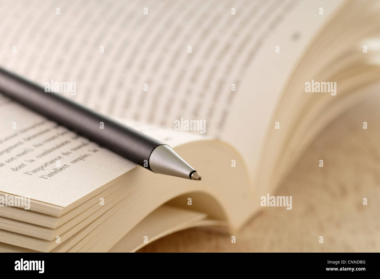 Close-up of Open Book and Pen Stock Photo - Alamy
