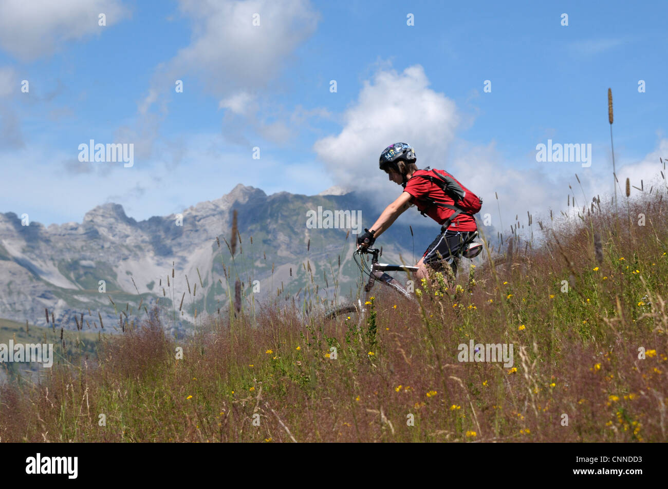Boy Riding Bicycle in Mountains, Alps, France Stock Photo - Alamy
