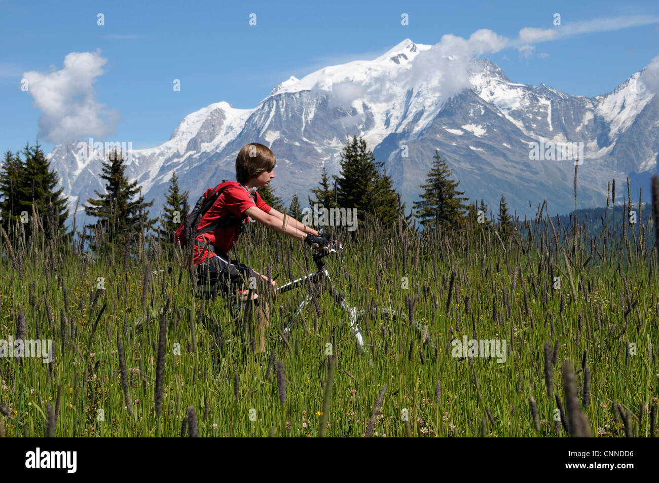 Boy Riding Bicycle in Mountains, Alps, France Stock Photo - Alamy