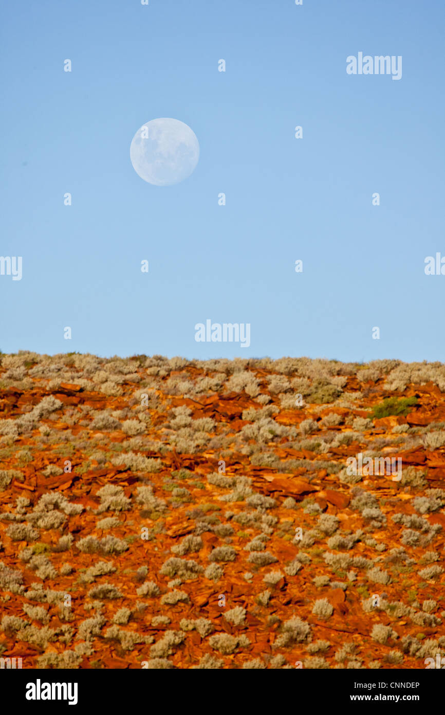Central desert australia hi-res stock photography and images - Alamy