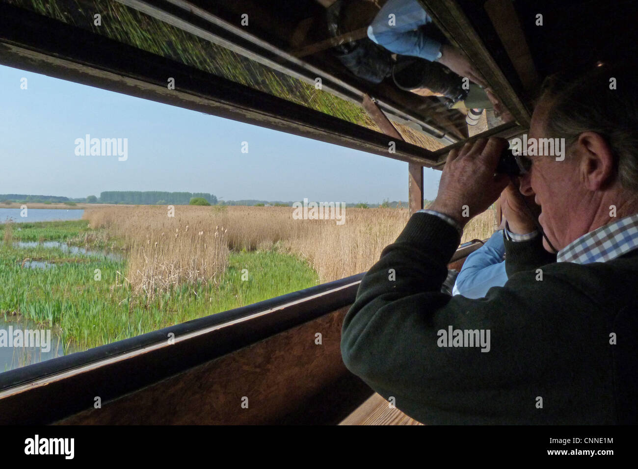 Looking out from Island mere hide at RSPB Minsmere Suffolk, a great ...