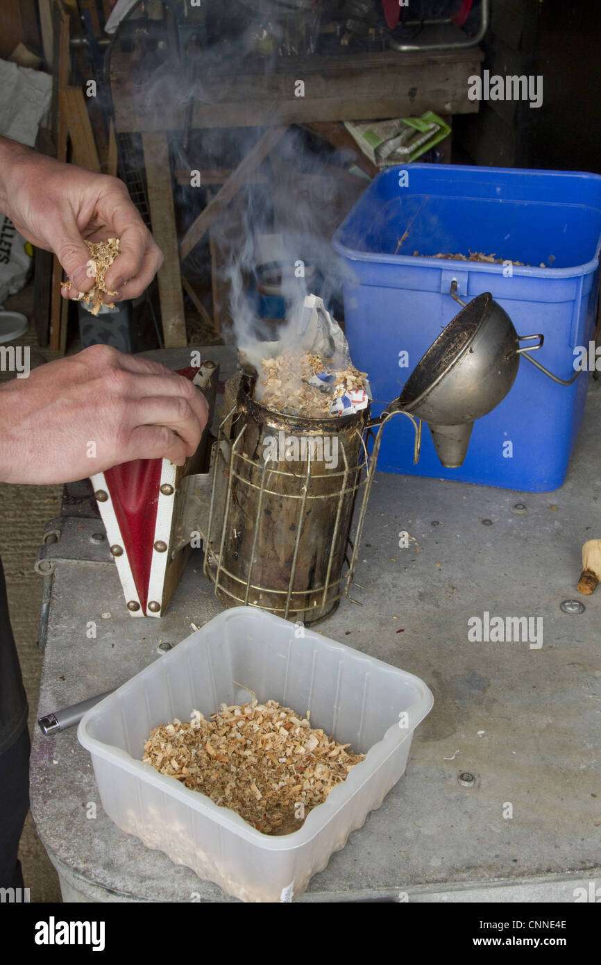 preparing the smoker used to pacify the honey bees, wood chipping and ...
