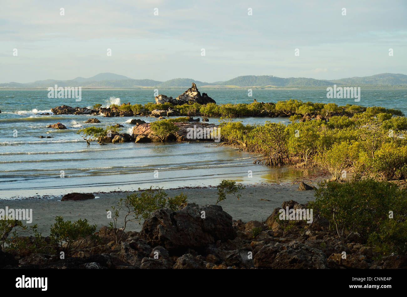 Sand Bay, Cape Hillsborough National Park, Queensland, Australia Stock ...