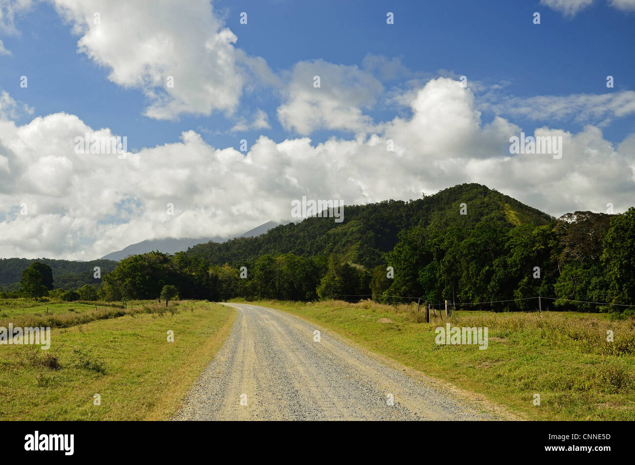 Country Road, Daintree, Queensland, Australia Stock Photo - Alamy