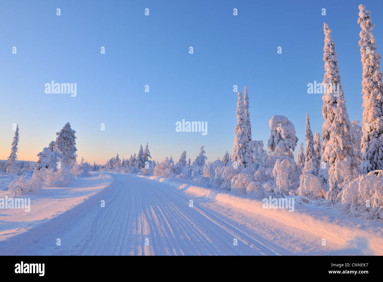 Road, Kuusamo, Northern Ostrobothnia, Oulu Province, Finland Stock ...