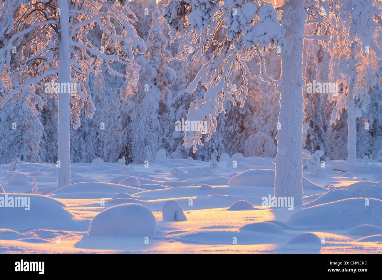 Ostrobothnia region hi-res stock photography and images - Alamy