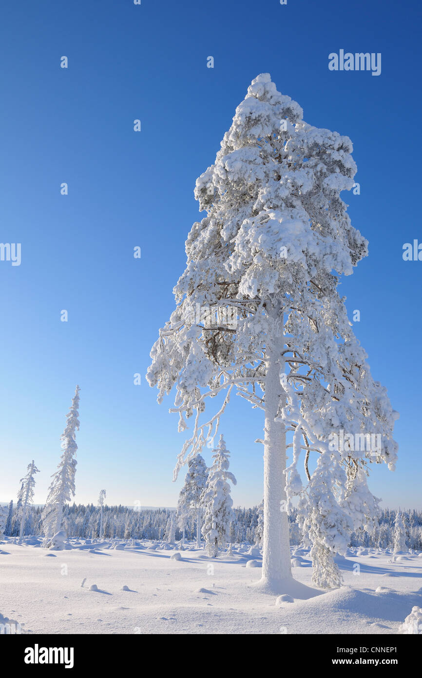 Western finland province hi-res stock photography and images - Alamy