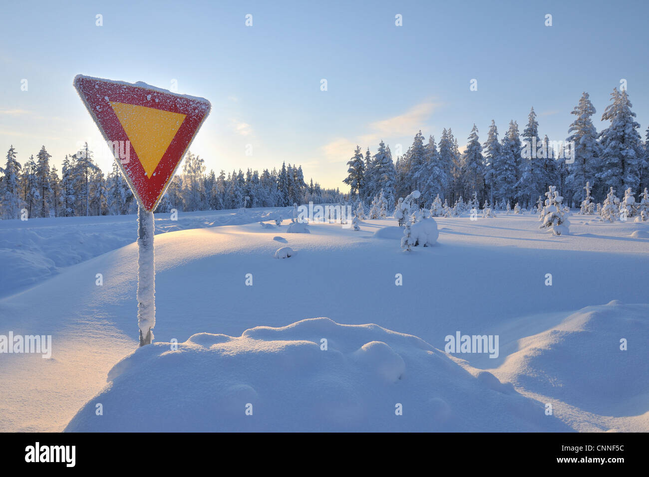 European yield sign hi-res stock photography and images - Alamy