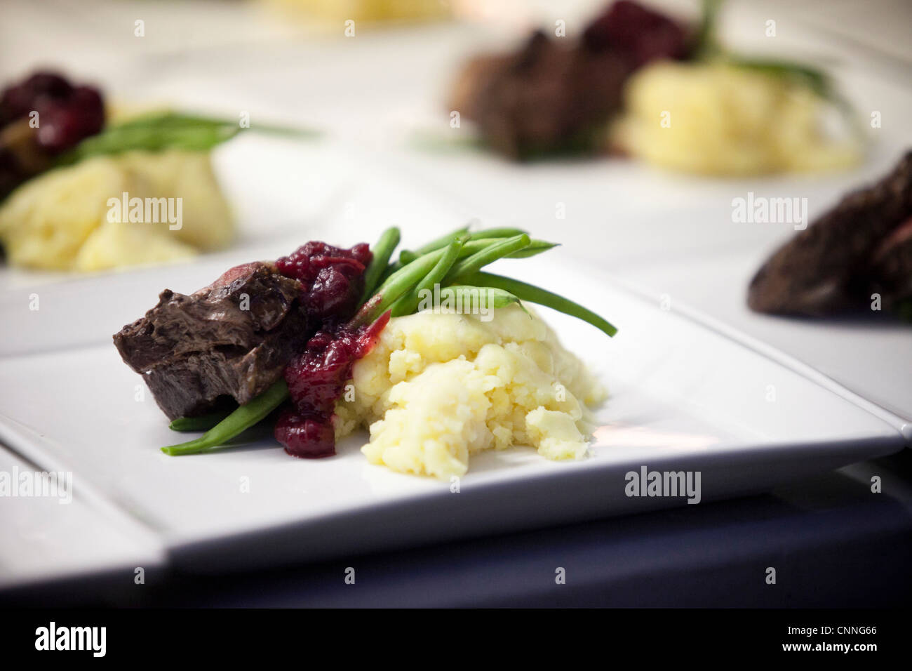 Main Course, Wedding Dinner, Muskoka, Ontario, Canada Stock Photo - Alamy