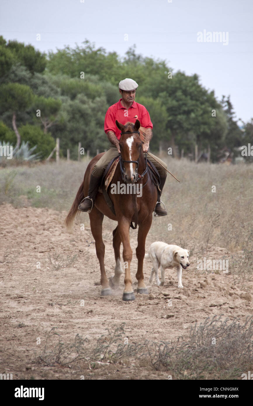Dog with man riding a horse hi-res stock photography and images - Alamy