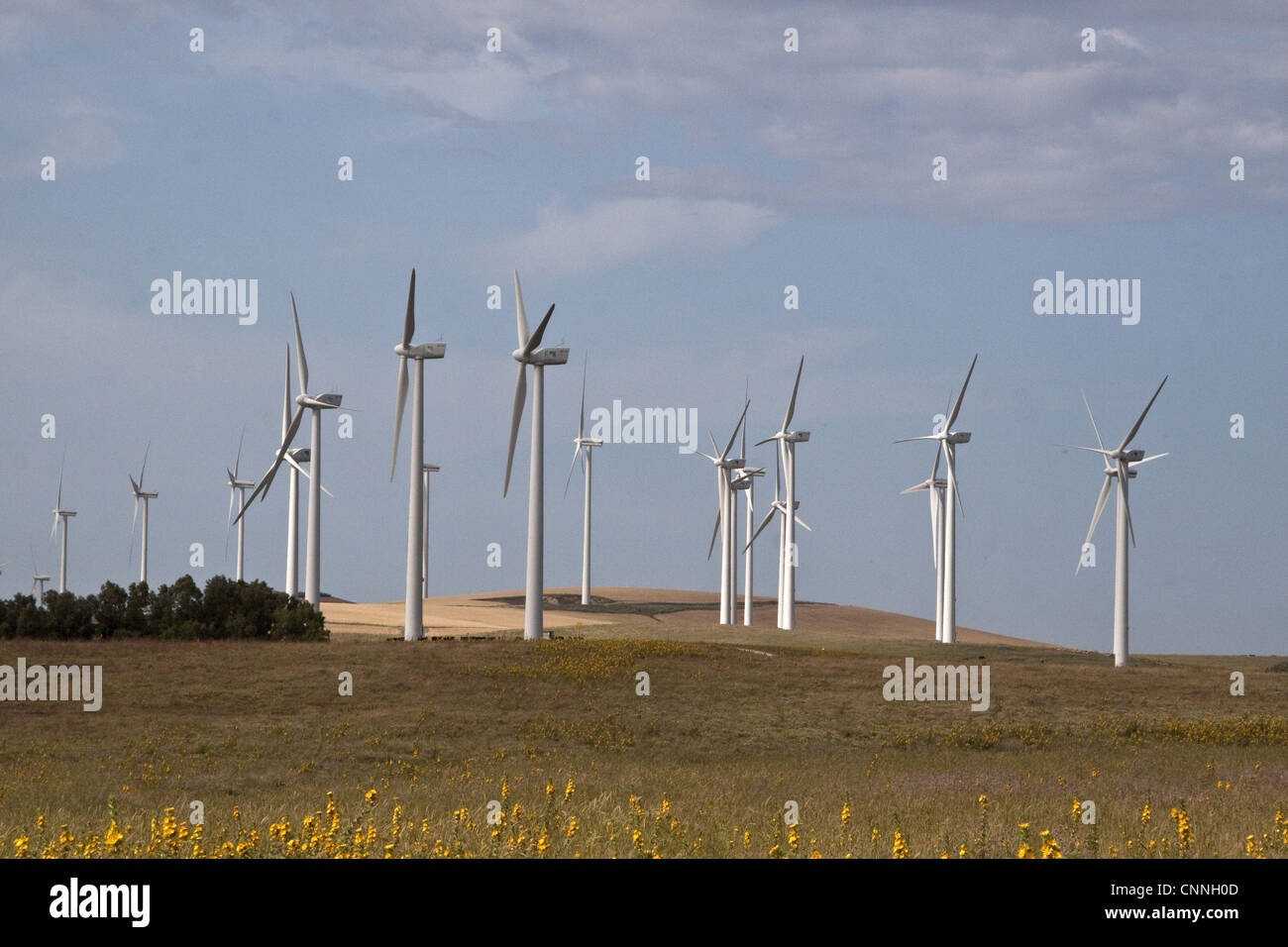 Wind turbines Andalusia Spain Stock Photo - Alamy