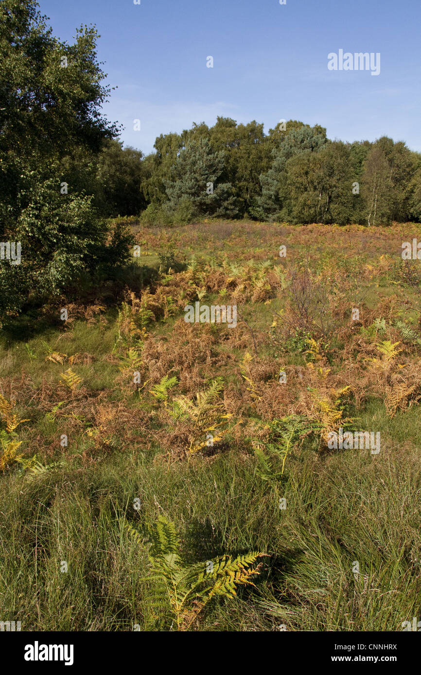 Blaxhall common hi-res stock photography and images - Alamy